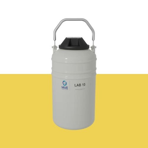 MVE Lab 10 | Genética Tricolor